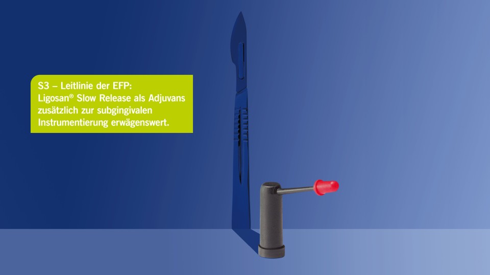 Ligosan® Slow Release (DE) Ligosan® (AT)